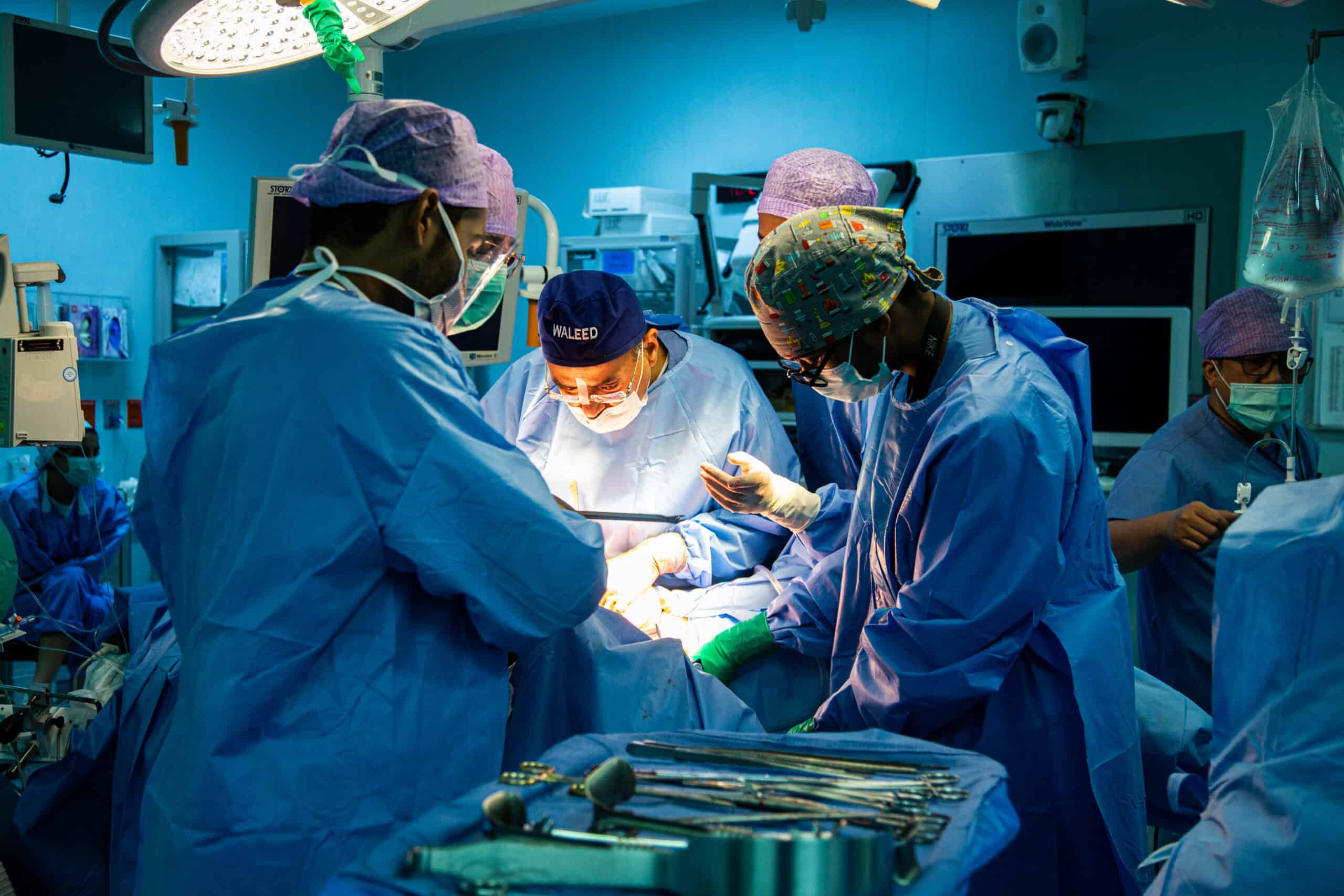 About - Organ City - Human Body Parts for Sale